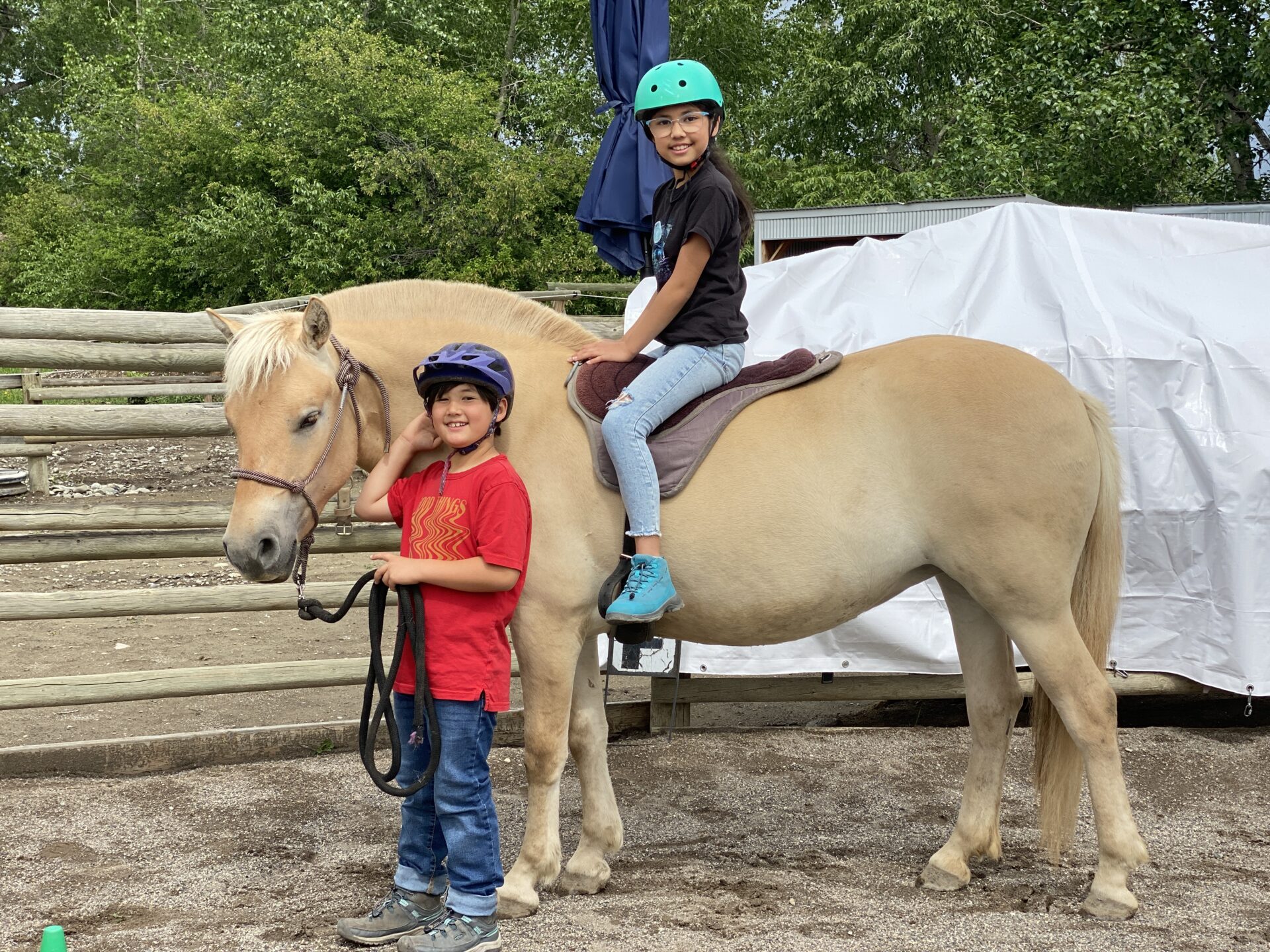 Horseback Riding Lessons at Sunnyside Farms - Sign Up Today!