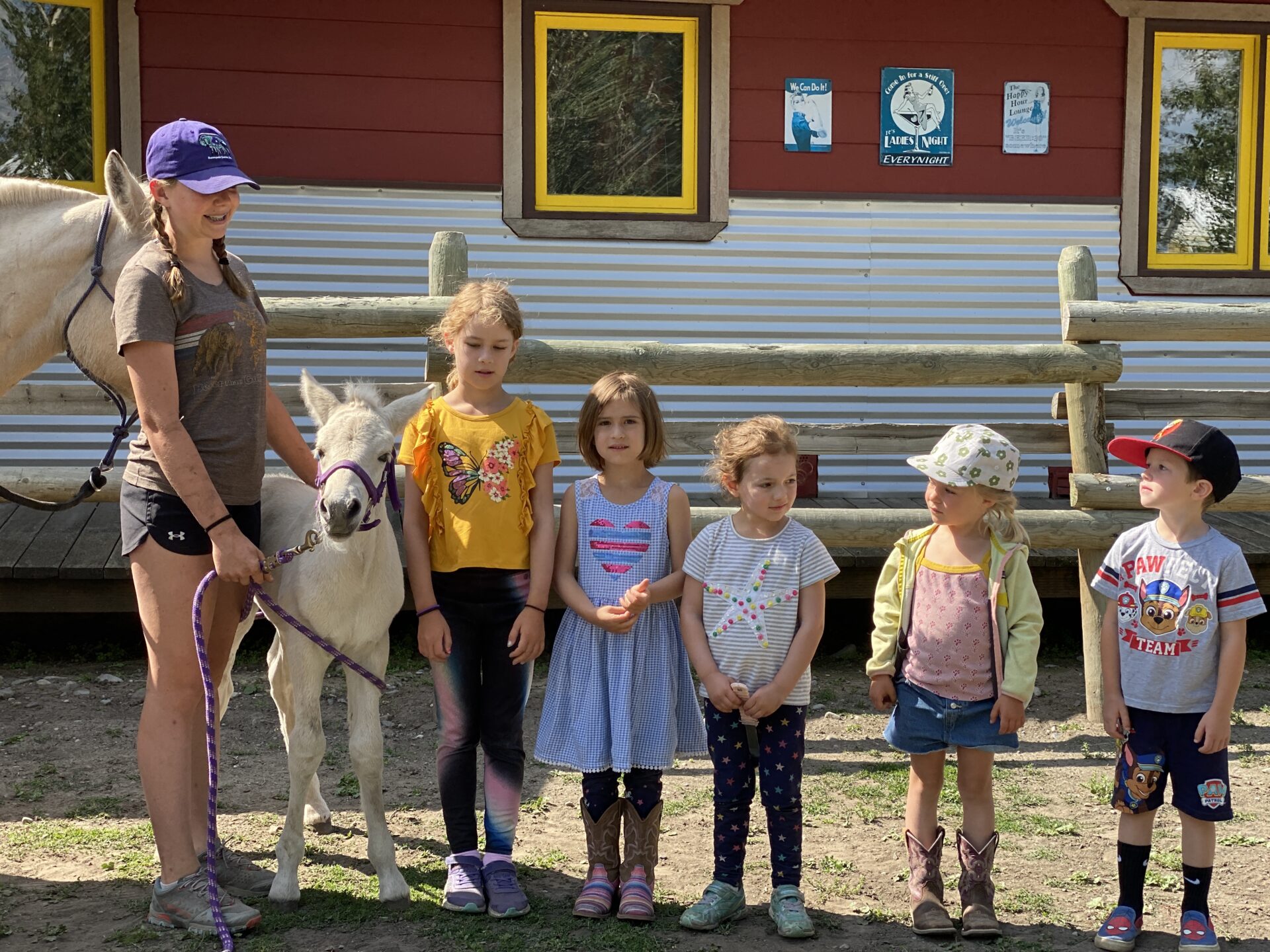 Kids Horse Camp at Sunnyside Farms with Norwegian Fjord Horses!