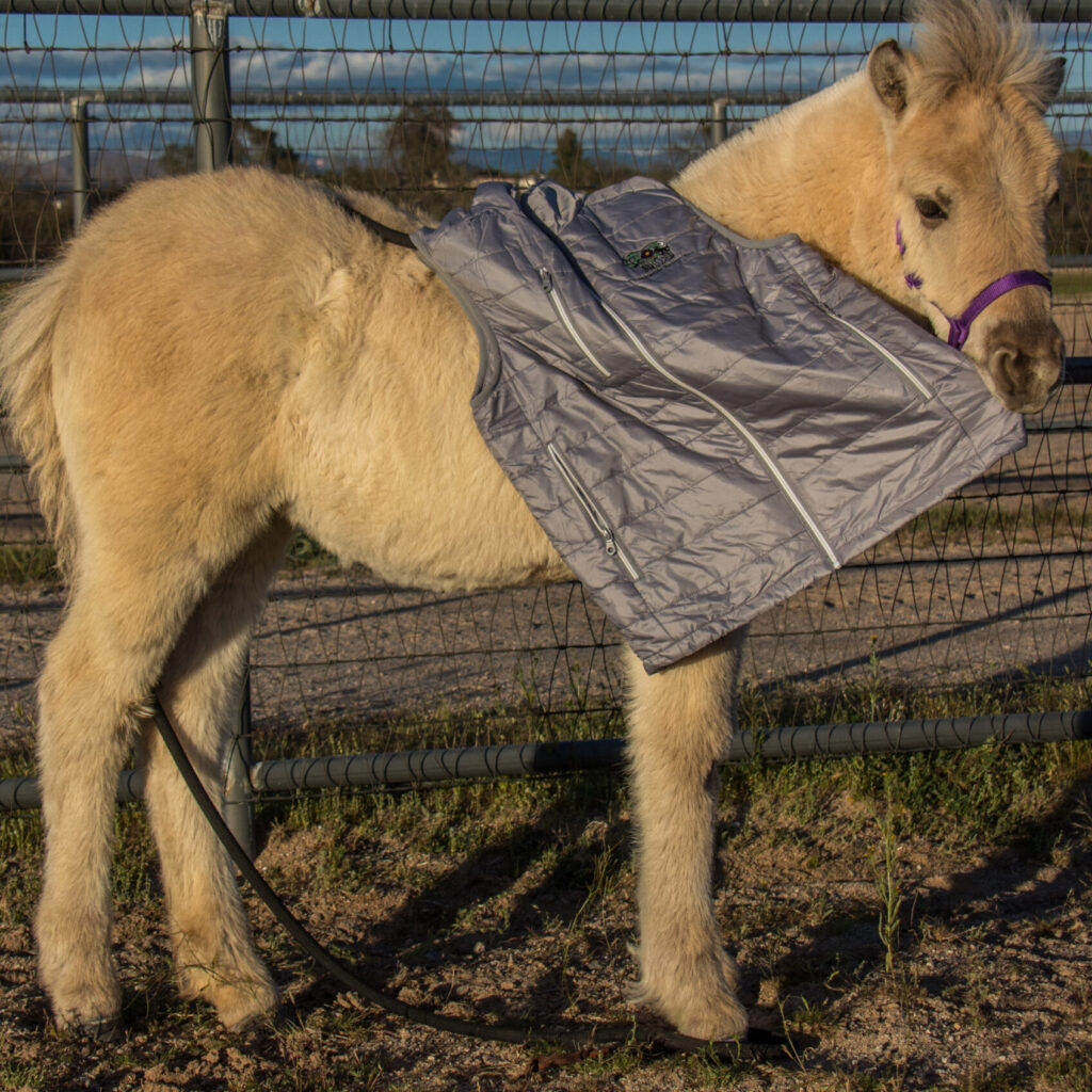 Farm Gloves » Sunnyside Farms