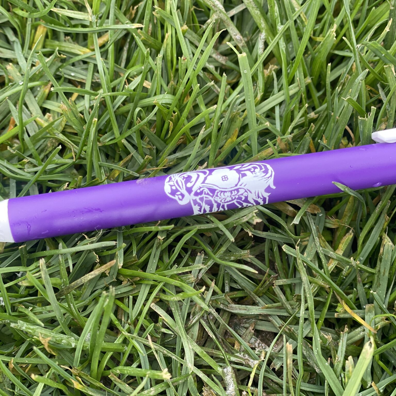 Bic Clic Stick Pen » Sunnyside Farms