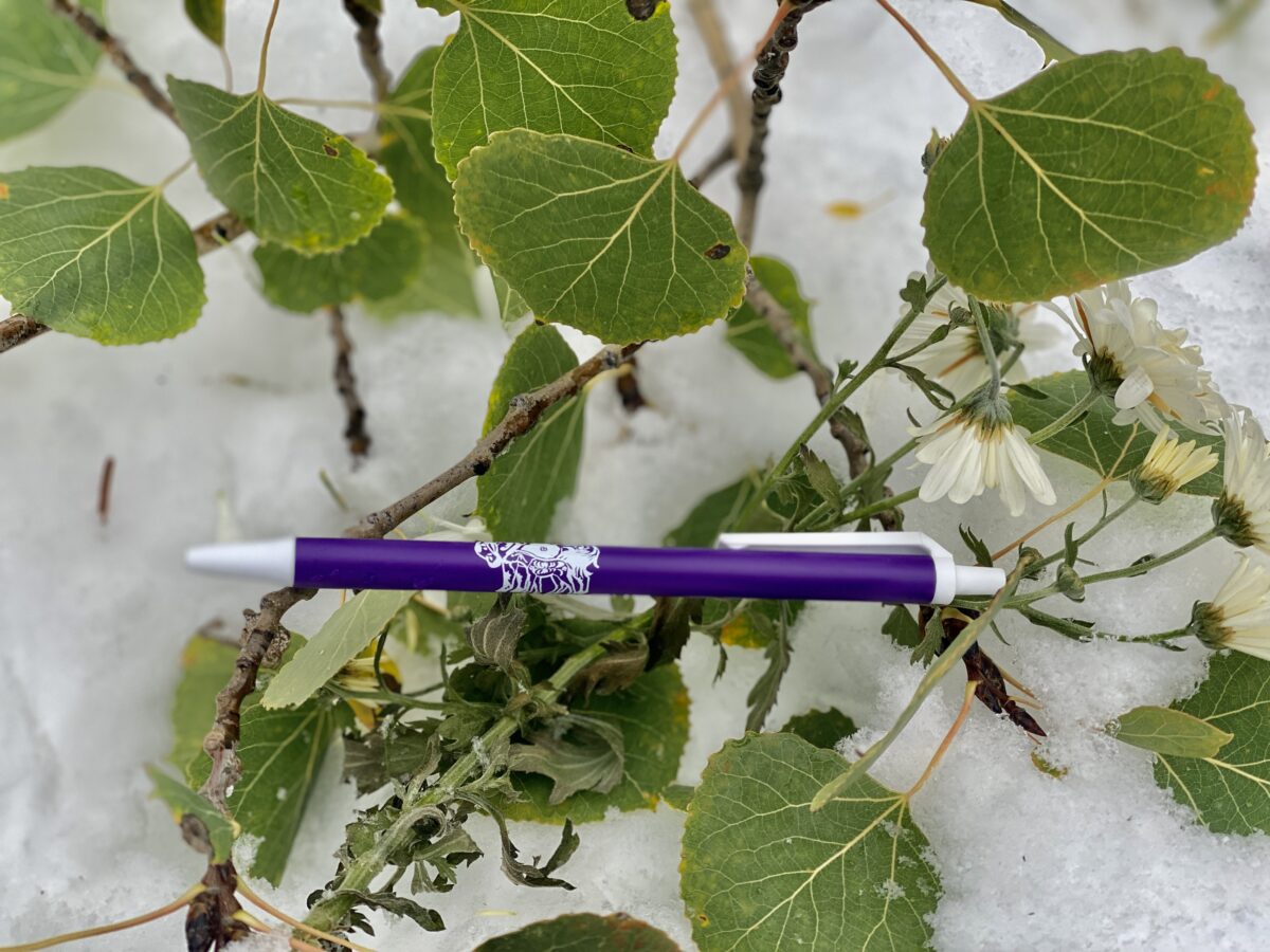 Bic Clic Stick Pen » Sunnyside Farms